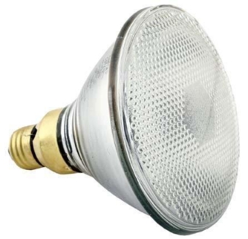 Heat Bulbs | Hog Slat