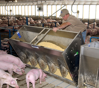 Hog Slat® Easy Clean Handle for Finish Feeder | Hog Slat