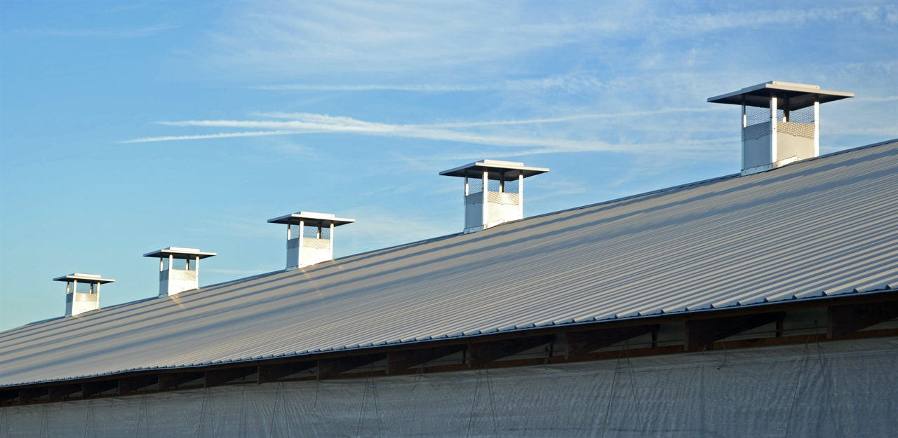 Hog Slat® Barn Chimney | Hog Slat