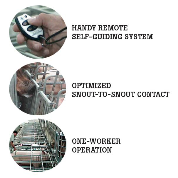 Contact-O-Max™ Boar Carts | Hog Slat