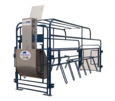 Swine Equipment | Hog Slat