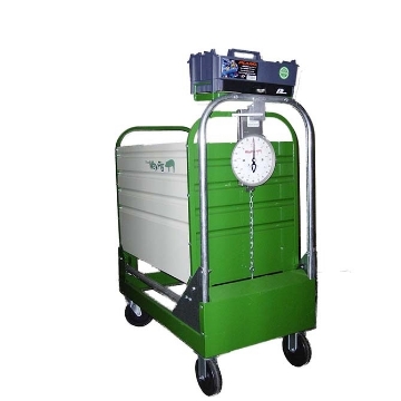 Pig Scales | Hog Slat