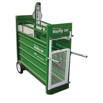 Pig Scales | Hog Slat