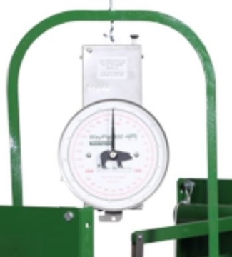 Pig Scales | Hog Slat