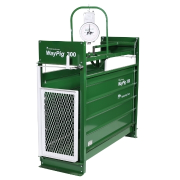 Pig Scales | Hog Slat