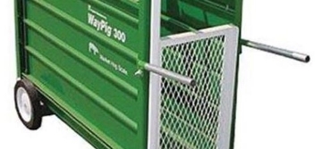 Pig Scales | Hog Slat