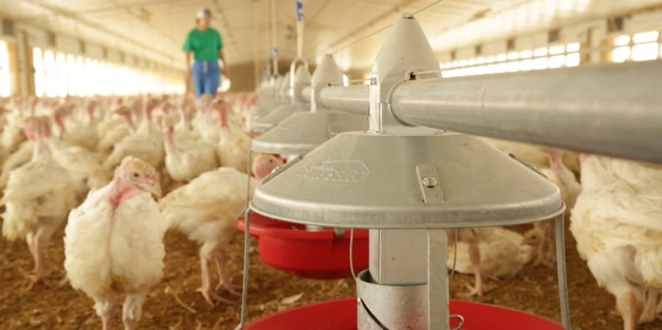 Diversifying Farming Operations: A Fourth Generation Farmer's Journey ...