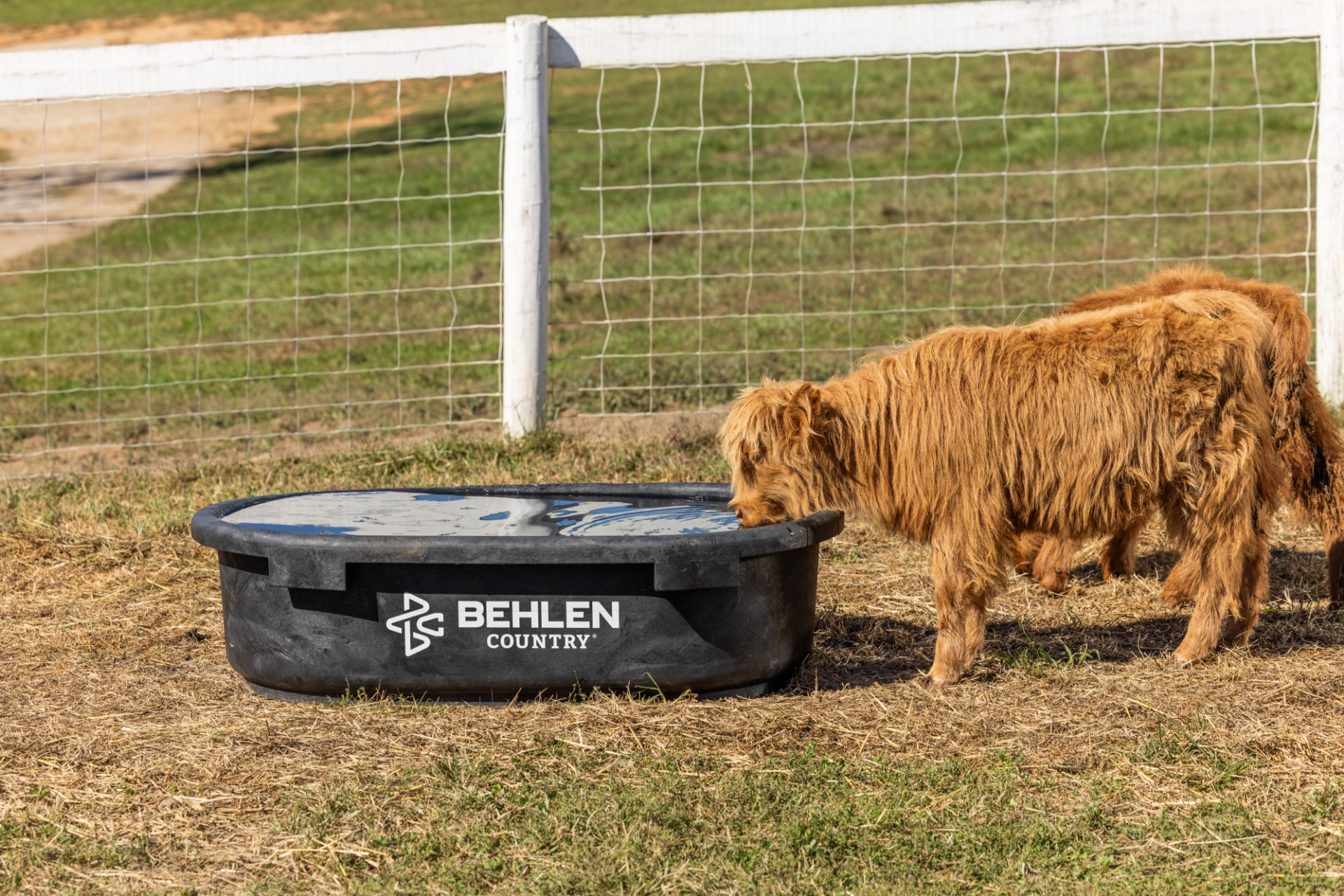 Behlen Country® 60 Gal Rigid Poly Stock Tank | Hog Slat