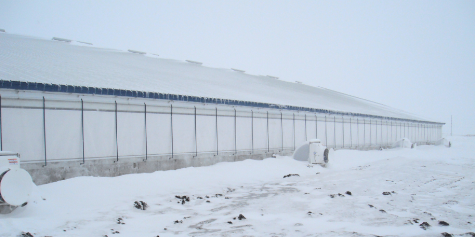 Winter Inspection Checklist for Swine Facilities | Hog Slat