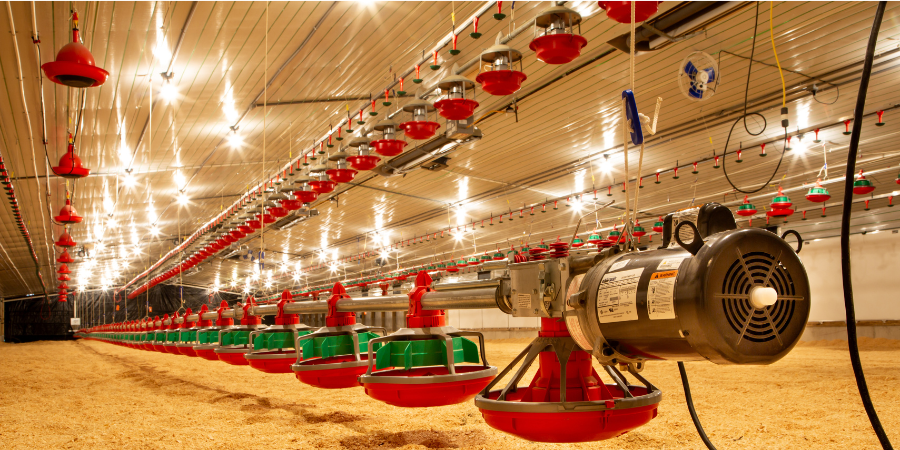 Diversifying Farming Operations: A Fourth Generation Farmer's Journey ...