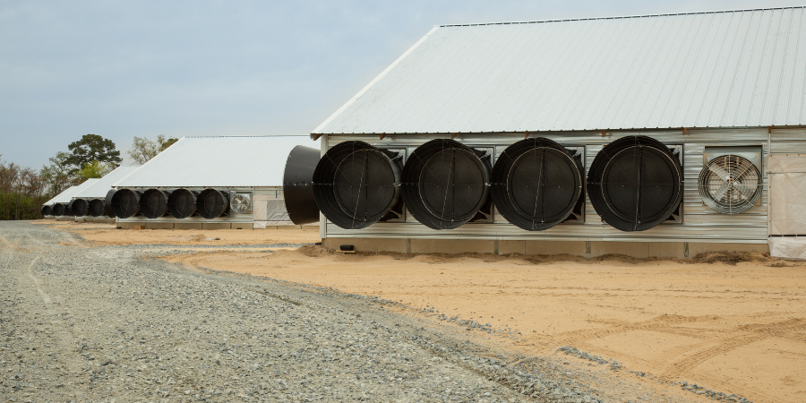 Diversifying Farming Operations: A Fourth Generation Farmer's Journey ...