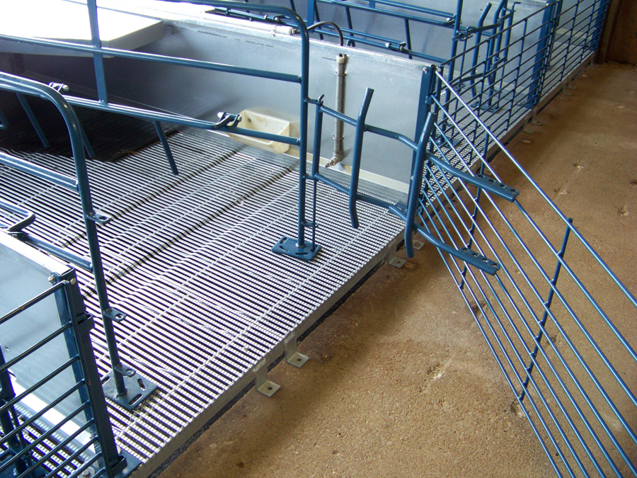 Remodeling project increases farrowing crate footprint. | Hog Slat